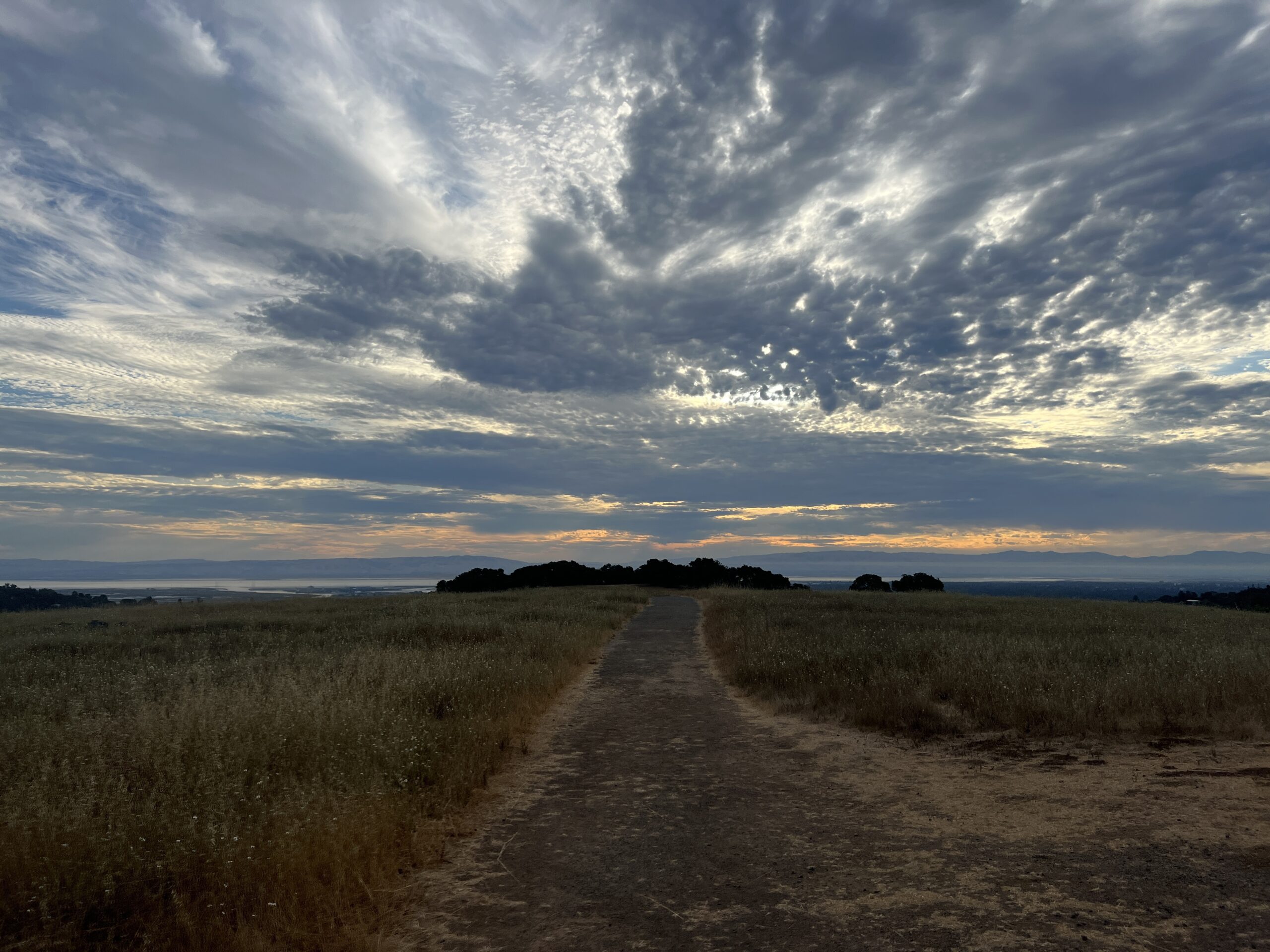 An ode to early morning runs – Not a Wasted Word