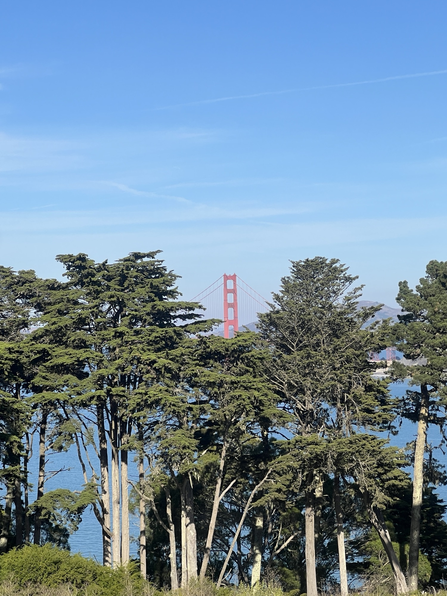 Gorgeous Golden Gate – Not a Wasted Word